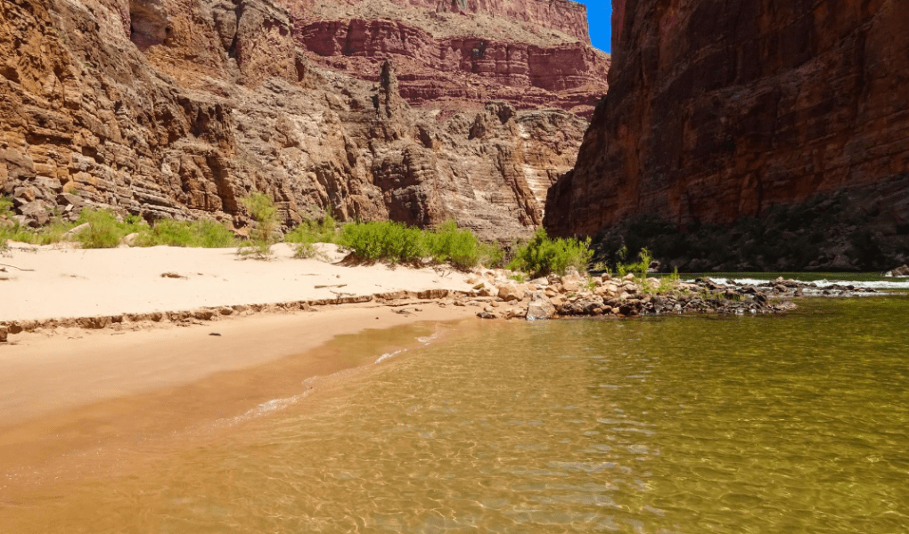 Sandy beaches in Arizona? You heard it here first!